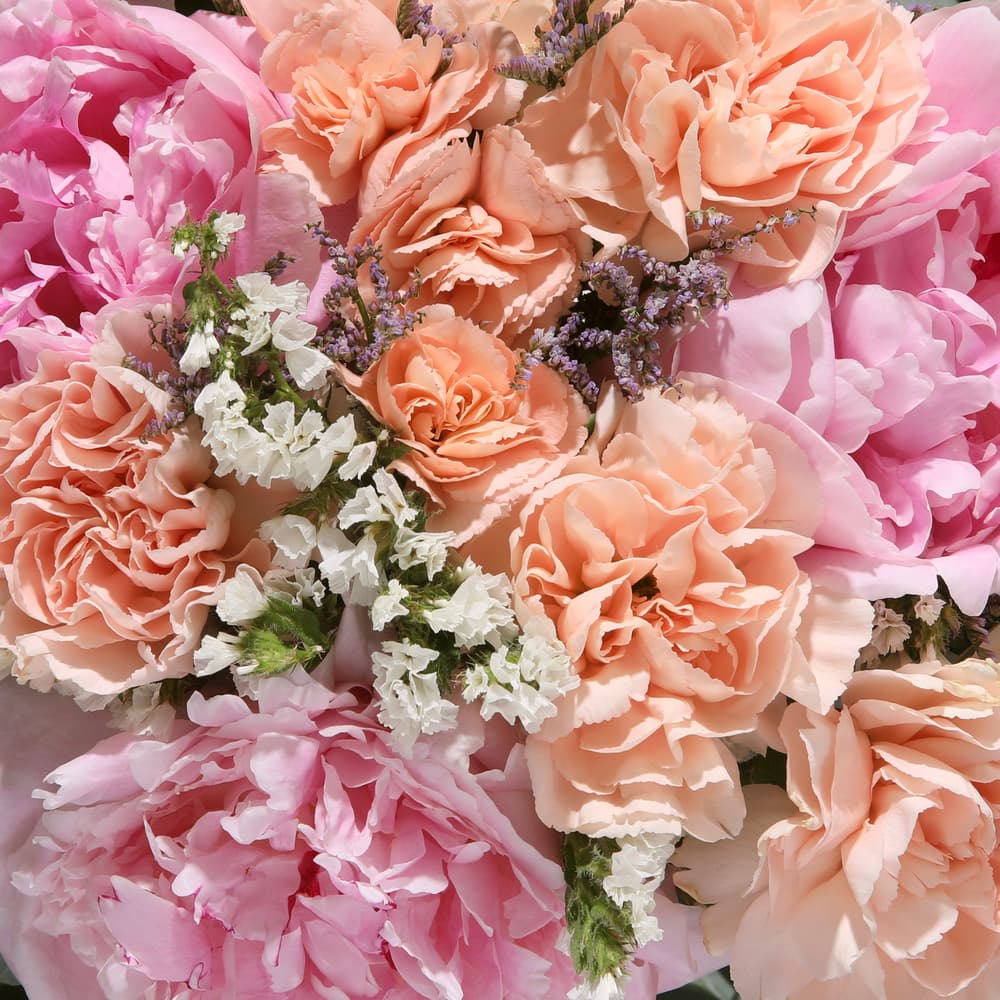 Our Florist's Pick | Letterbox Flowers | Bloom & Wild